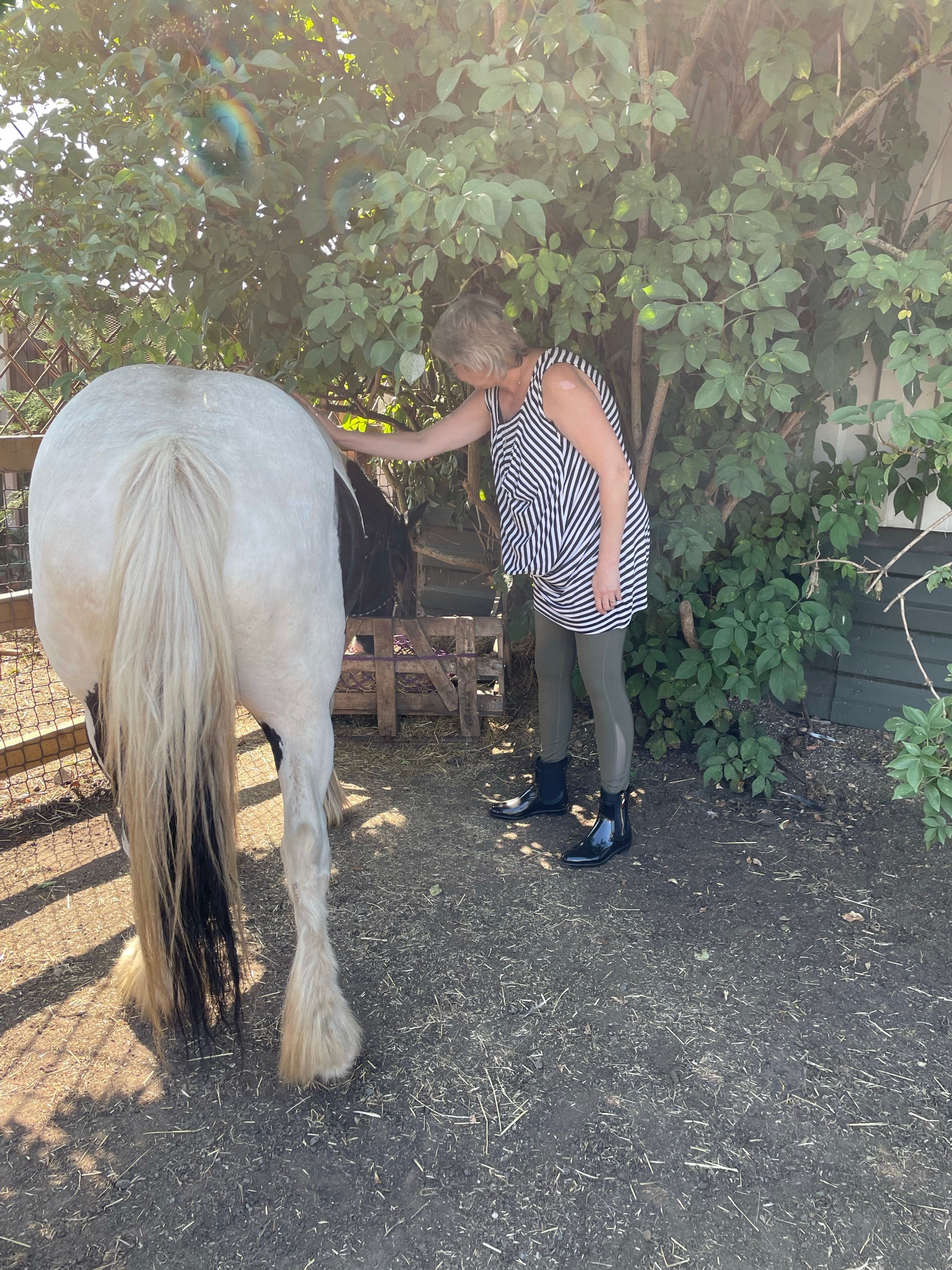 Healing with Horses UK – Helping people to learn, grow and heal through ...